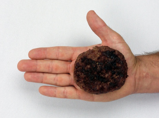 How to use your hands to diet - BTN.Academy